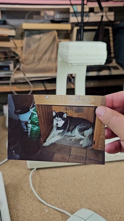 Old PC Scanner from 1989! #shorts #retro #retrocomputer #retrogaming # ...