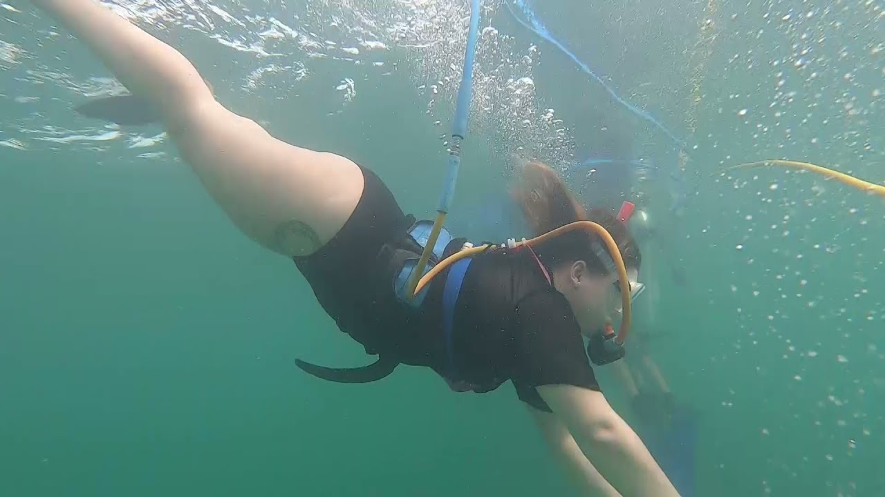 Snuba Diving in Key West 2021 - YouTube