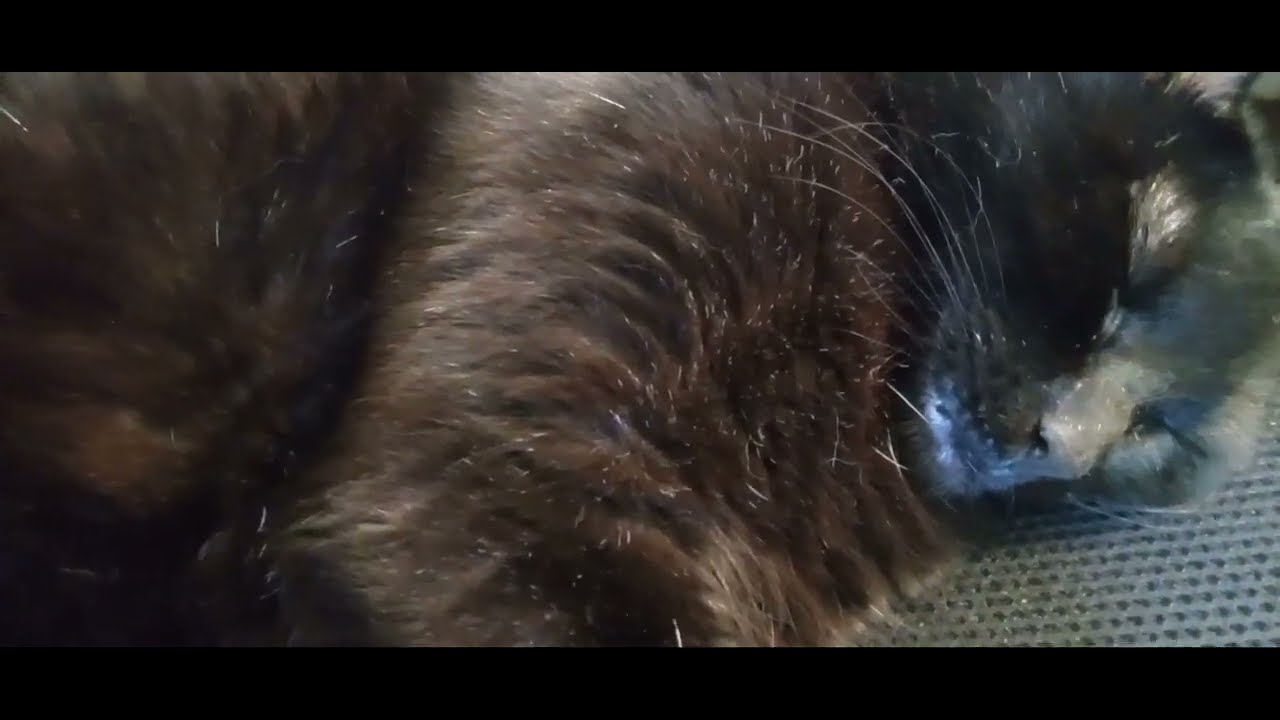 Precious Lady - YouTube