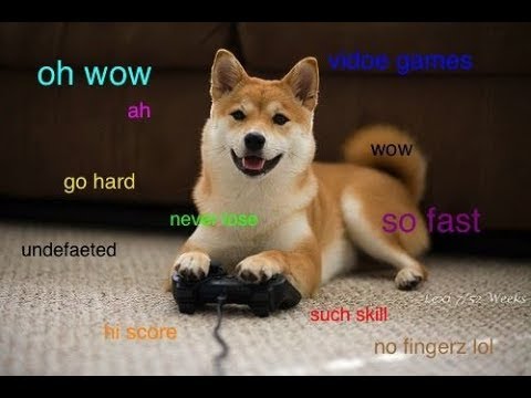 Playing PAYDAY2 with a Doge - YouTube