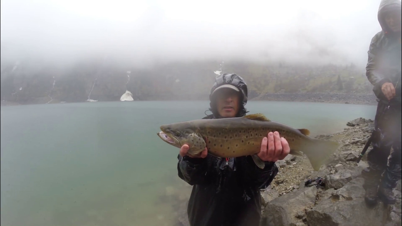 Pêche grosse truite et ombles chevalier en lac haute montagne - YouTube