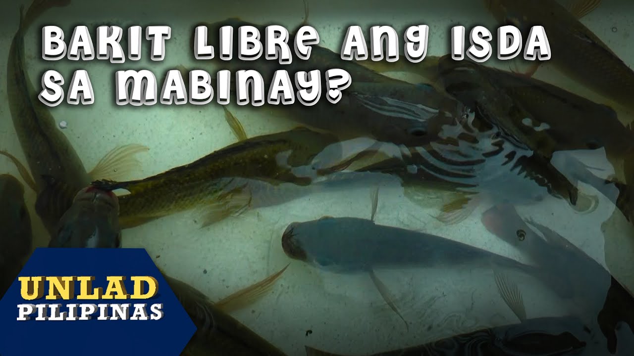 Bakit Libre ang Isda sa Mabinay? | Unlad Pilipinas - YouTube