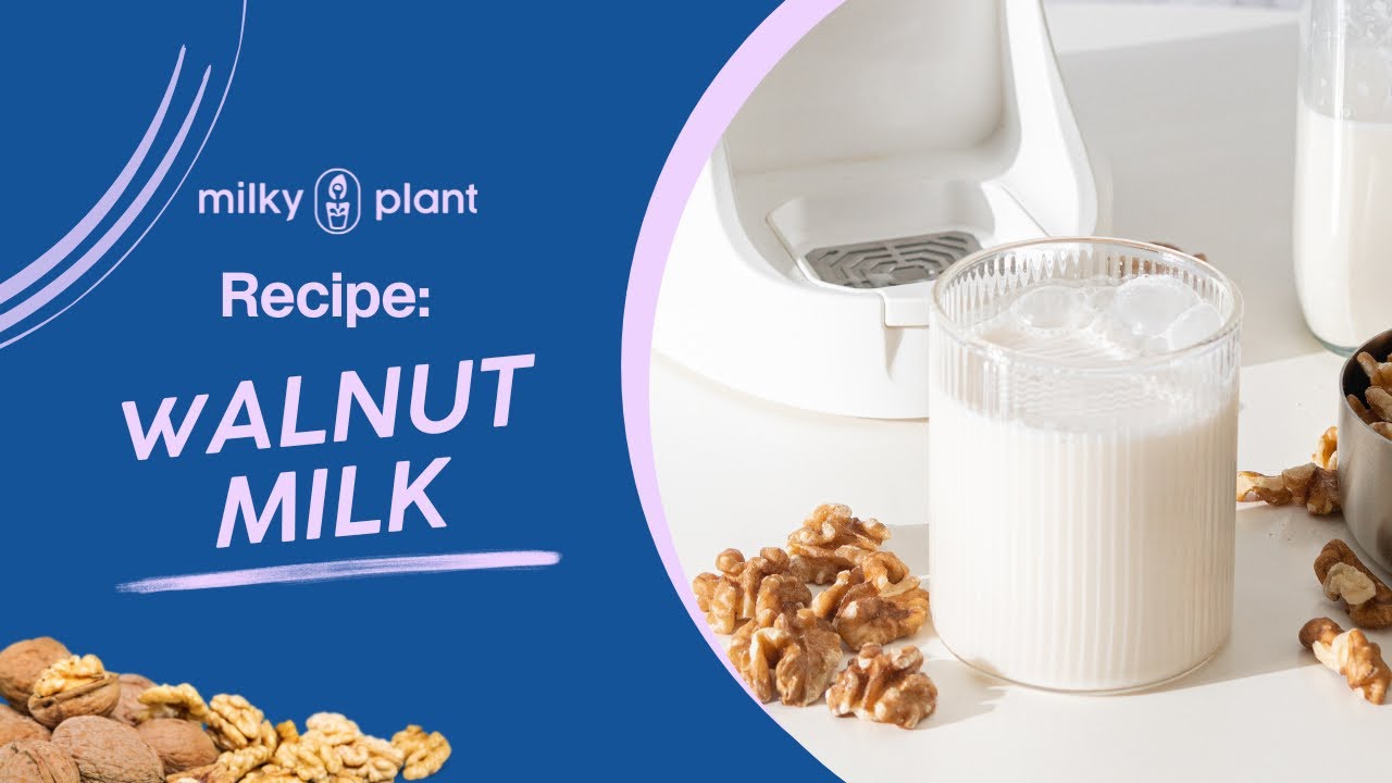 Easy Homemade Walnut Milk Recipe with Milky Plant Machine | Creamy Nut ...