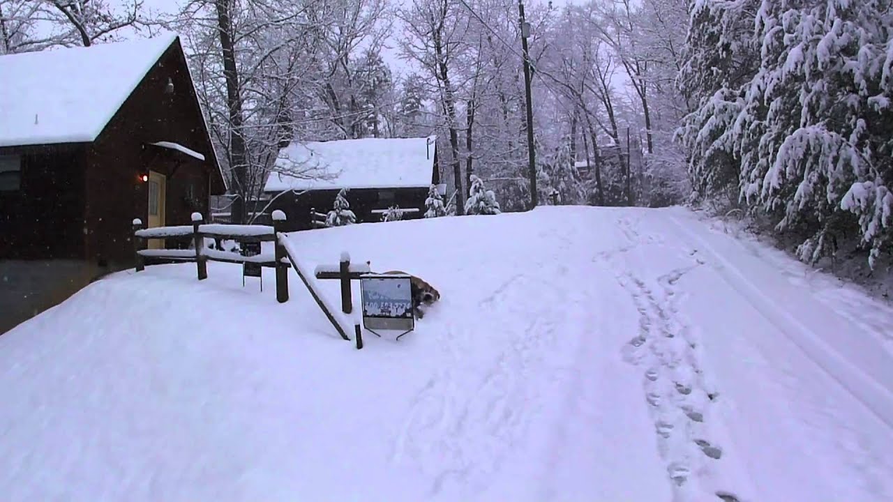 Harley & Kalley playing in Snow Gatlinburg, TN - YouTube