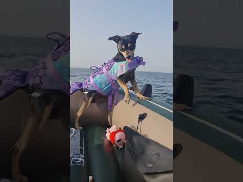 21 августа 2023 г.