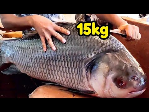 Wonderful Giant Katla fish cutting skill live || Big katla fish cutting ...