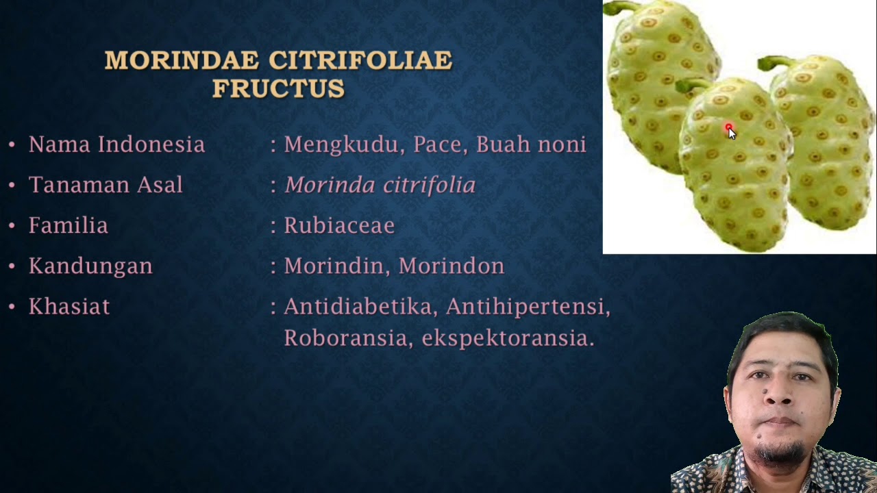 FARMAKOGNOSI | FRUCTUS - YouTube