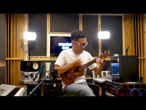 Payphone-Maroon 5-Ukulele Cover(Studio Version) - YouTube
