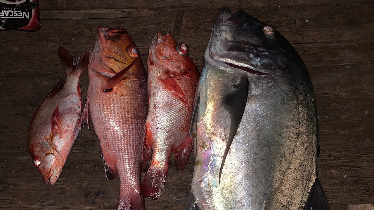 PNG’s Smoked Fish! Siassi Style - YouTube