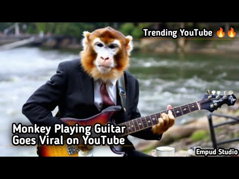 Viral Monkey Playing Guitar Trending Topic Youtube No. 1 - YouTube