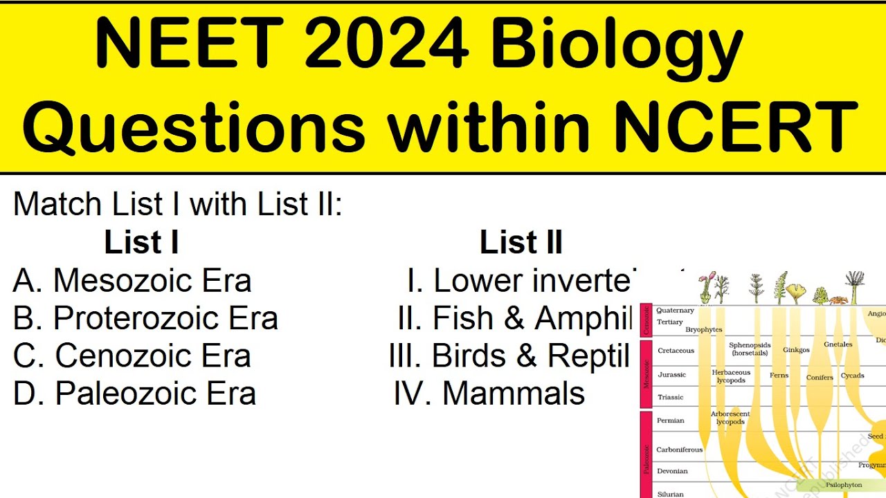 Mesozoic Era Lower invertebrates Proterozoic Era Fish & Amphibia ...