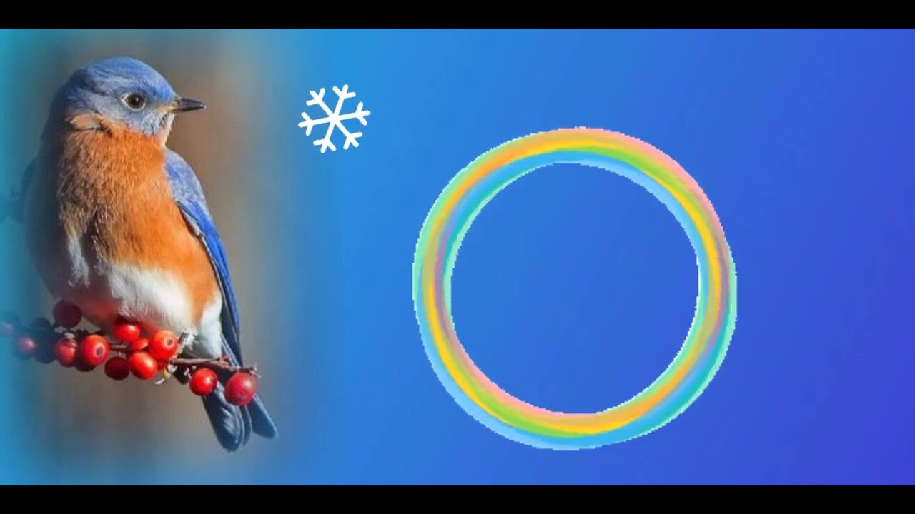 Surah_6 Al-An'am Ayat No-165 Ruku No 20 Word by Word learning Quran in ...