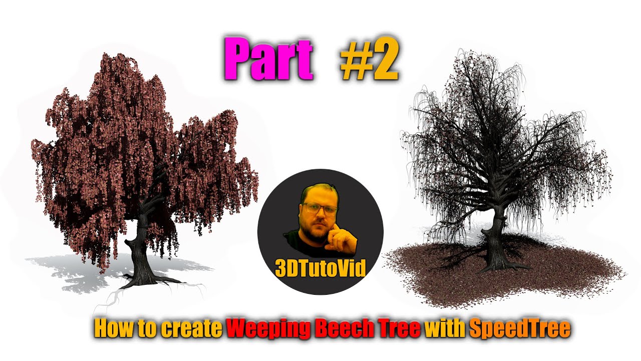 How to create Weeping Beech Tree with SpeedTree Part #2 - YouTube