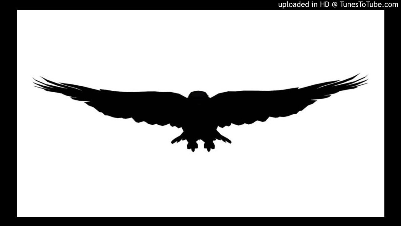 Who is Shadow Hawk Band - YouTube