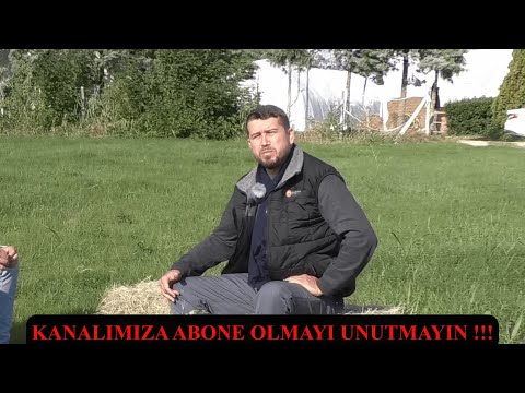 MERA 12 AY NASIL YEŞİL KALIR (Yem Maliyetini Düşürmenin Yolu )