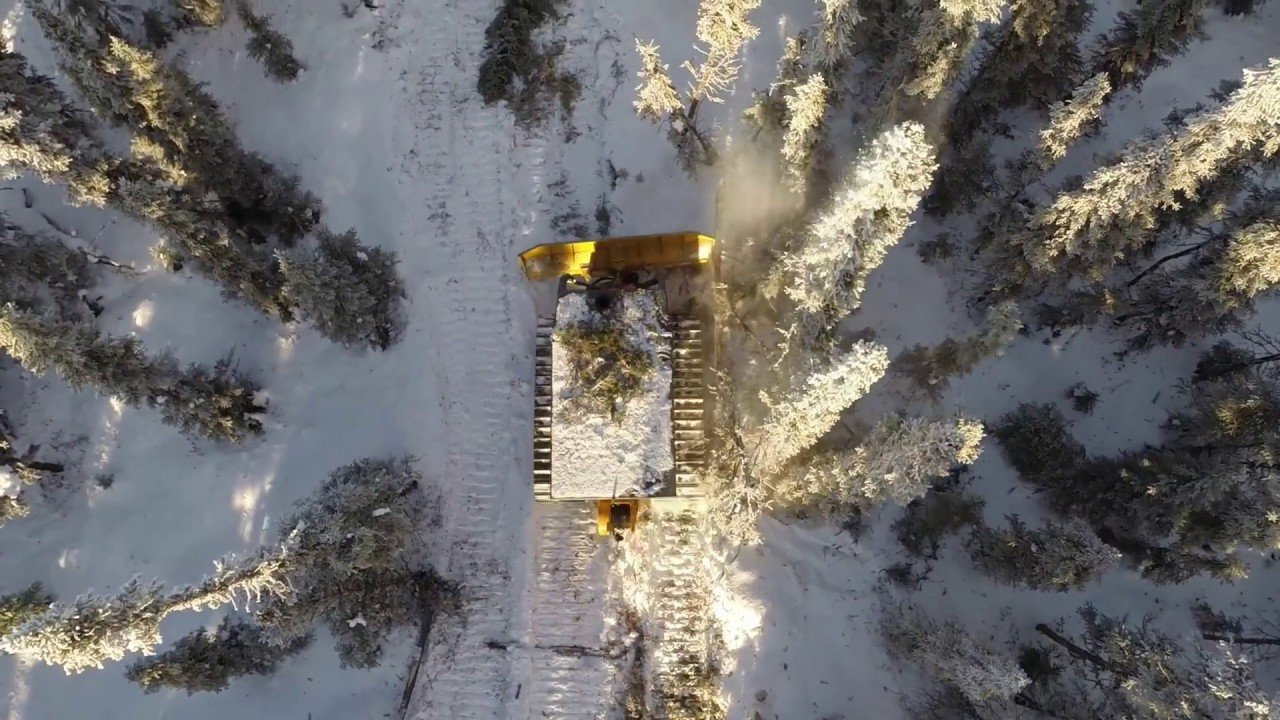 Killdozer - John Deere 650J Smashing Trees - YouTube