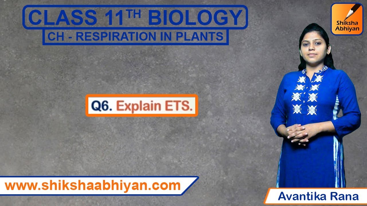 Q6 Explain ETS. - YouTube