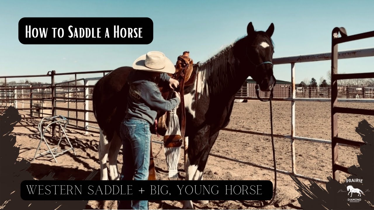 How to Saddle a Horse with a Western Saddle | at least how I do it with ...