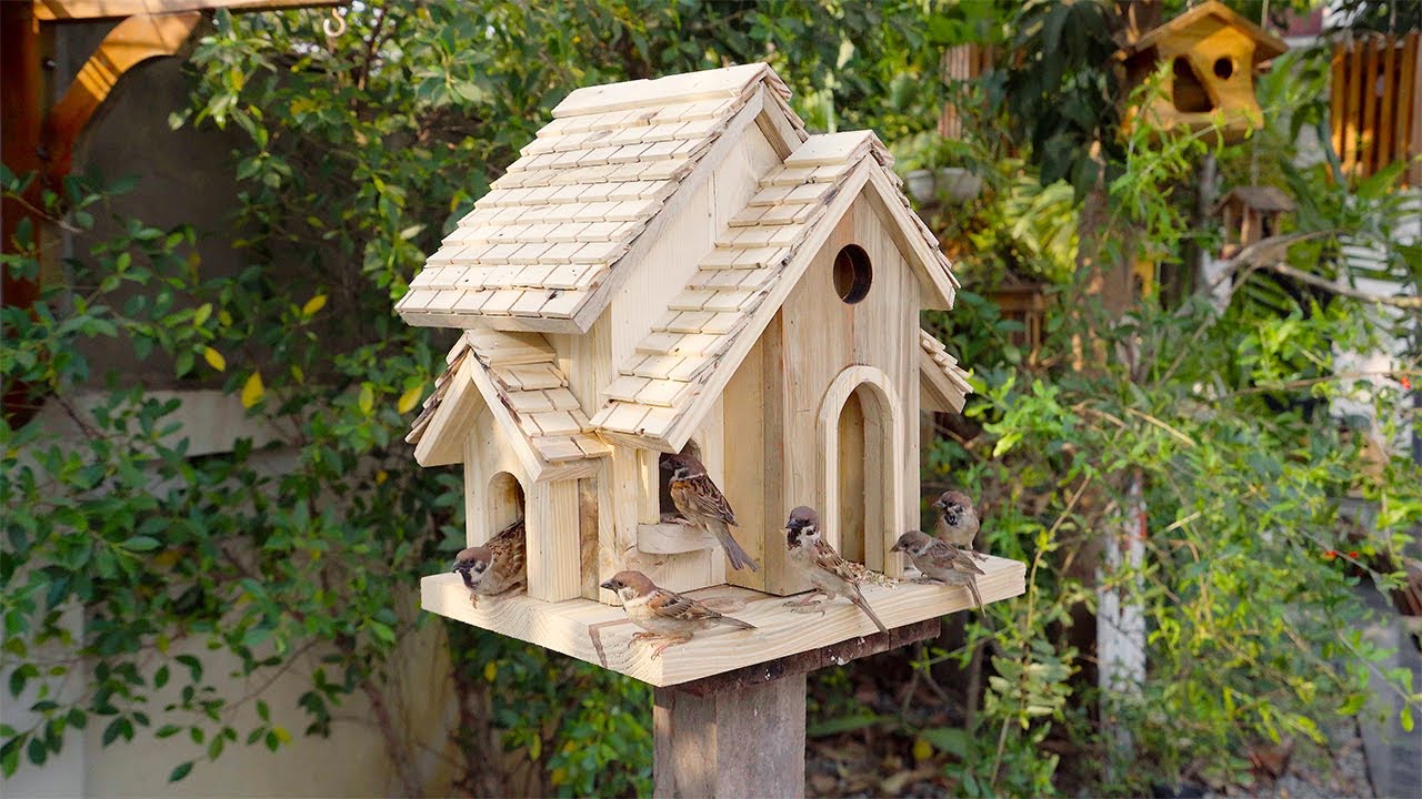 Build Wooden Villa Bird House and Bird Feeder - YouTube