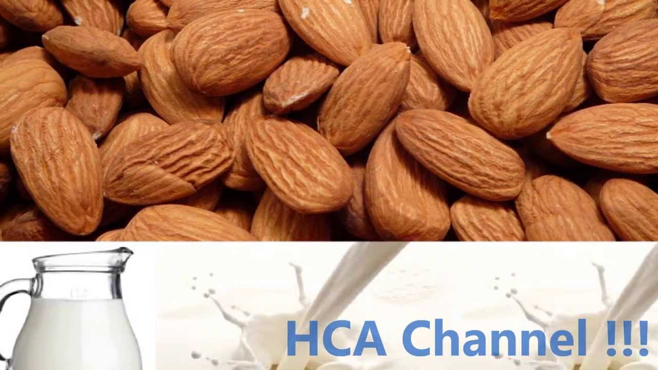 Leche de almendras VS Leche de Vaca - YouTube