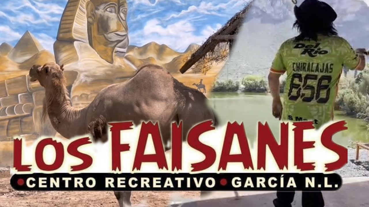 Zoologico Los Faisanes | Primera parte - YouTube