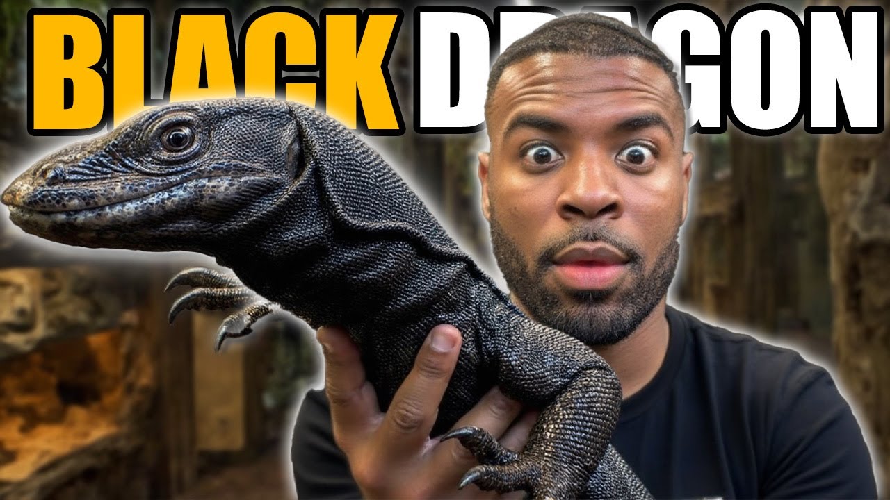 I GOT A NEW BLACK DRAGON LIZARD! (MY DREAM ANIMAL) - YouTube