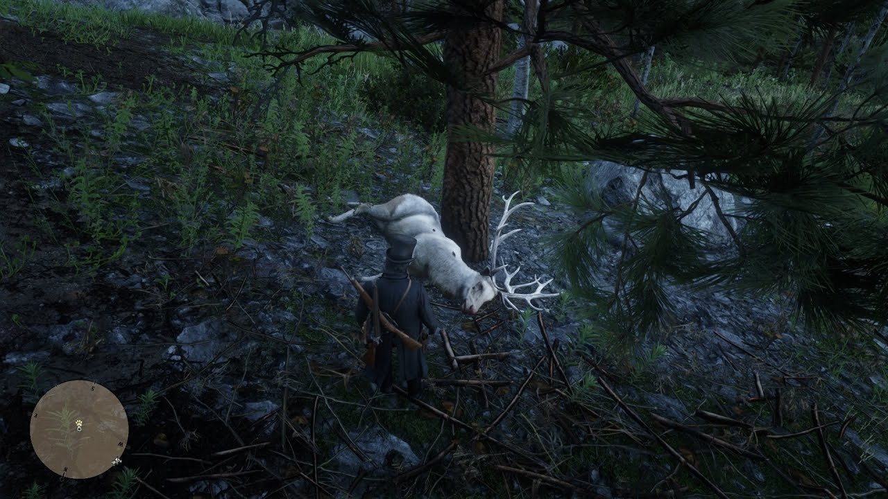 Voici où trouver le Wapiti Légendaire ! (Red Dead Redemption 2) - YouTube