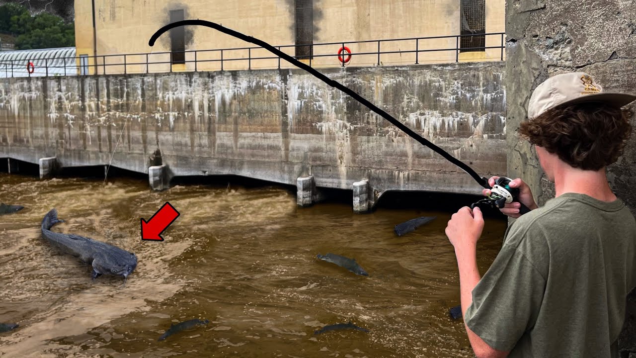 The BEST Catfishing Day I’ve EVER HAD!!! (FISH EVERYWHERE) - YouTube