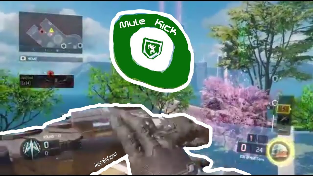 Mule Kick on Bo3 [c] - YouTube