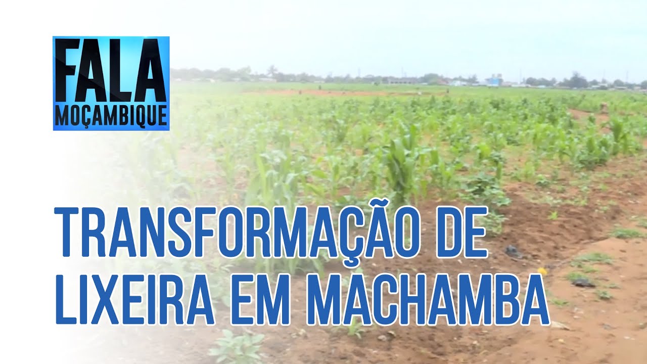 TRANSFORMAÇÃO DE LIXEIRA EM MACHAMBA, 09/12/2021 - YouTube