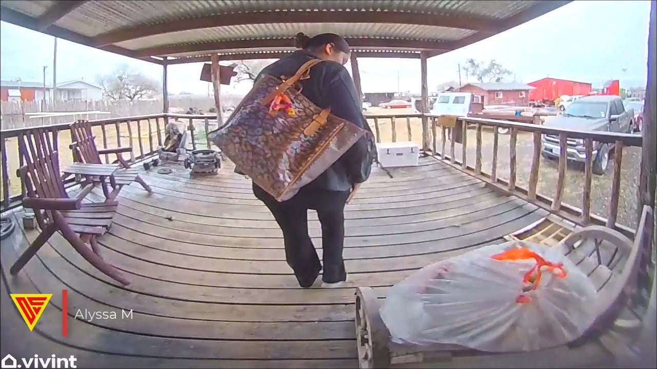 Misstep on the Stairs: Woman Suffers Fall on Icy Steps Caught on Vivint ...