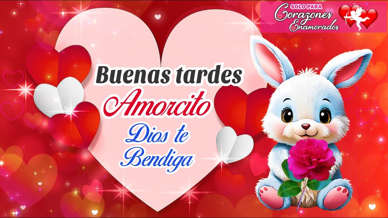 🌹 BUENAS TARDES MI AMOR DIOS TE BENDIGA 💝 Mensajes de buenas tardes mi ...