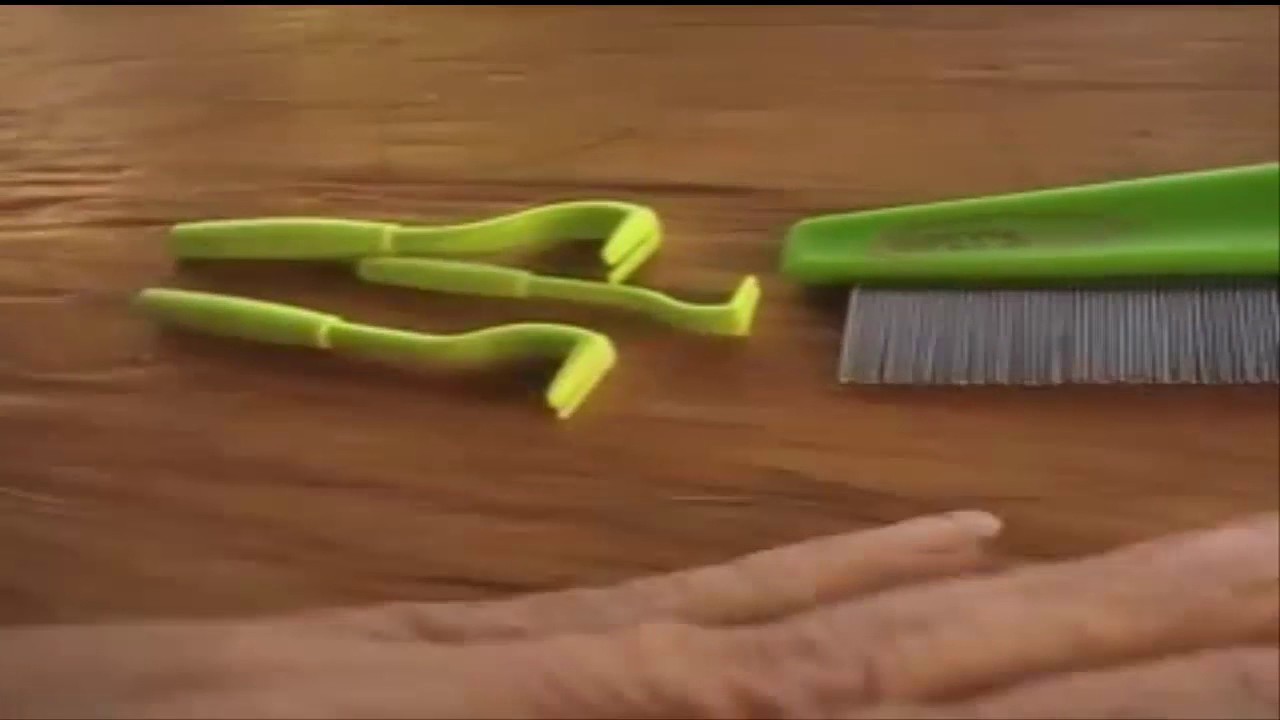 Best Flea Comb 3 Tick Remover Tick Twister Tools For Dogs And Cats ...