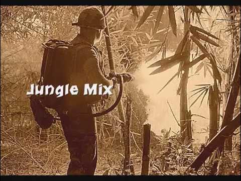 1993 - 1996 Old Skool Jungle Mix - YouTube