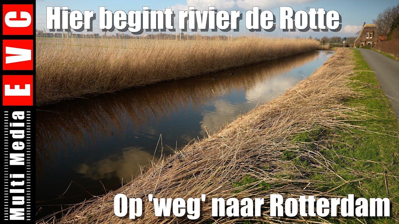 Hier begint Rivier de Rotte | Op 'weg' naar Rotterdam | Maart 2024 ...