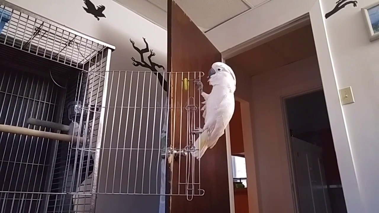 Hanging Around With Max And His Special Guest - YouTube