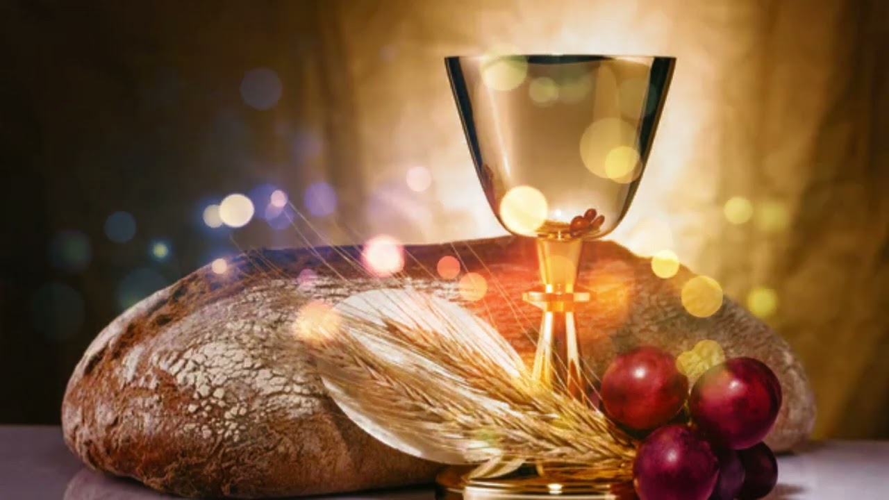 No copyright HD video | Holy Communion | Jesus blood and body | bread ...