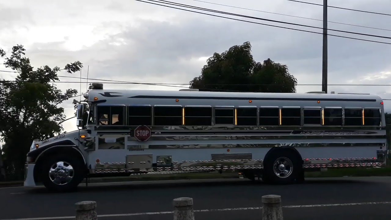 [VISION 1st Gen. SCHOOL BUS] Transporte Papo Alvy, Inc. - El Papá de ...
