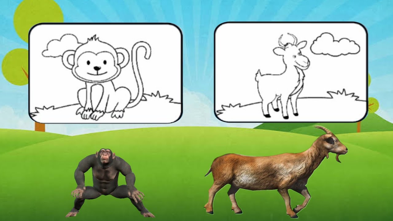Cara menggambar kera dan kambing untuk belajar | DUNIA MENGGAMBAR - YouTube