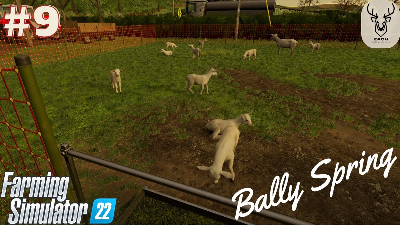 Baby Goats, Selling Meats, Vine pruning & Sugarbeet Shredder | Bally ...