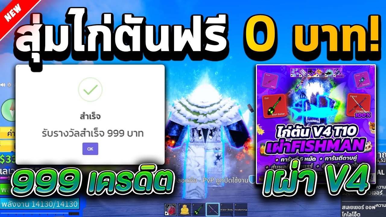 🎁Blox Fruits แจกโค้ด 999 บาท ไก่ตันเผ่า FishMan V4 สุดโหด !🦈⁉️ (รีบ ...