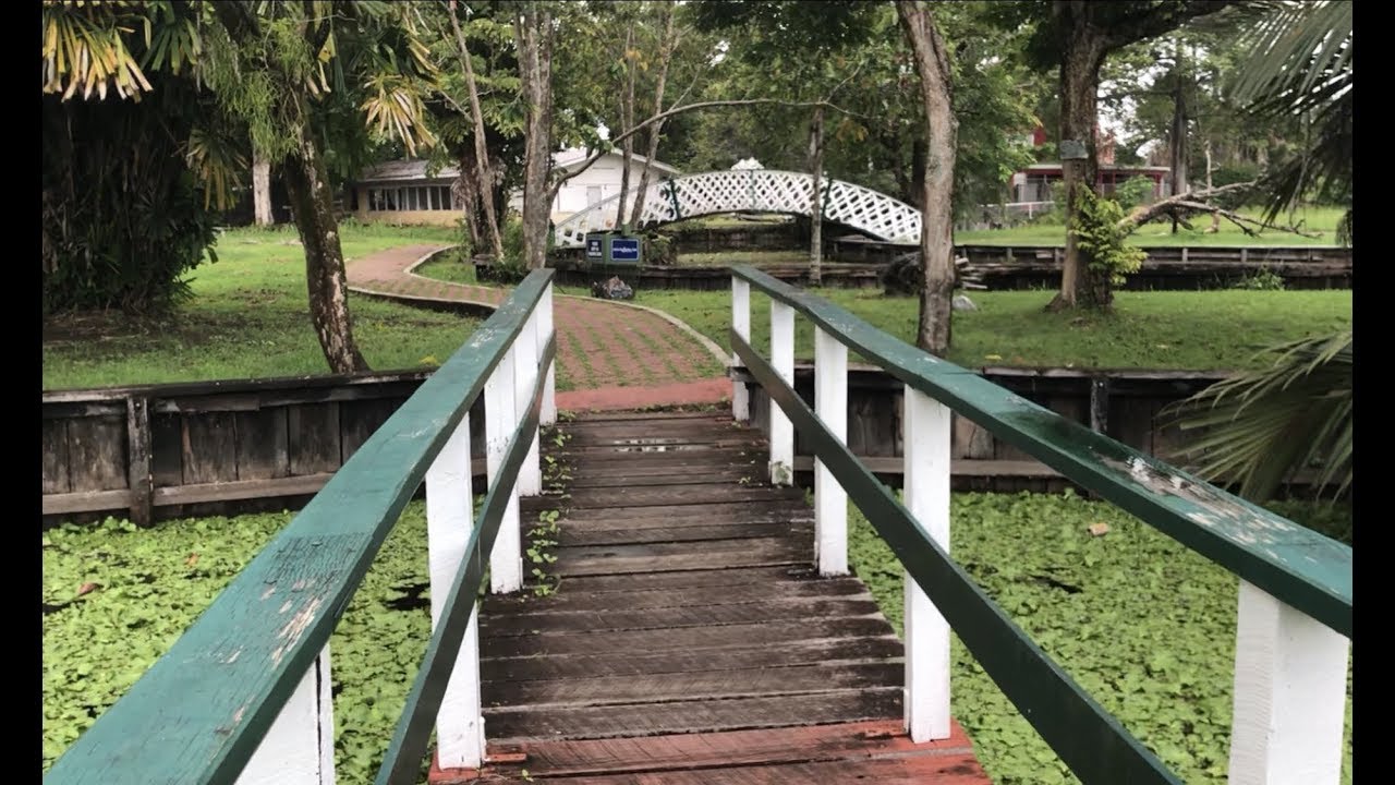 GUYANA BOTANICAL GARDEN & ZOO - YouTube
