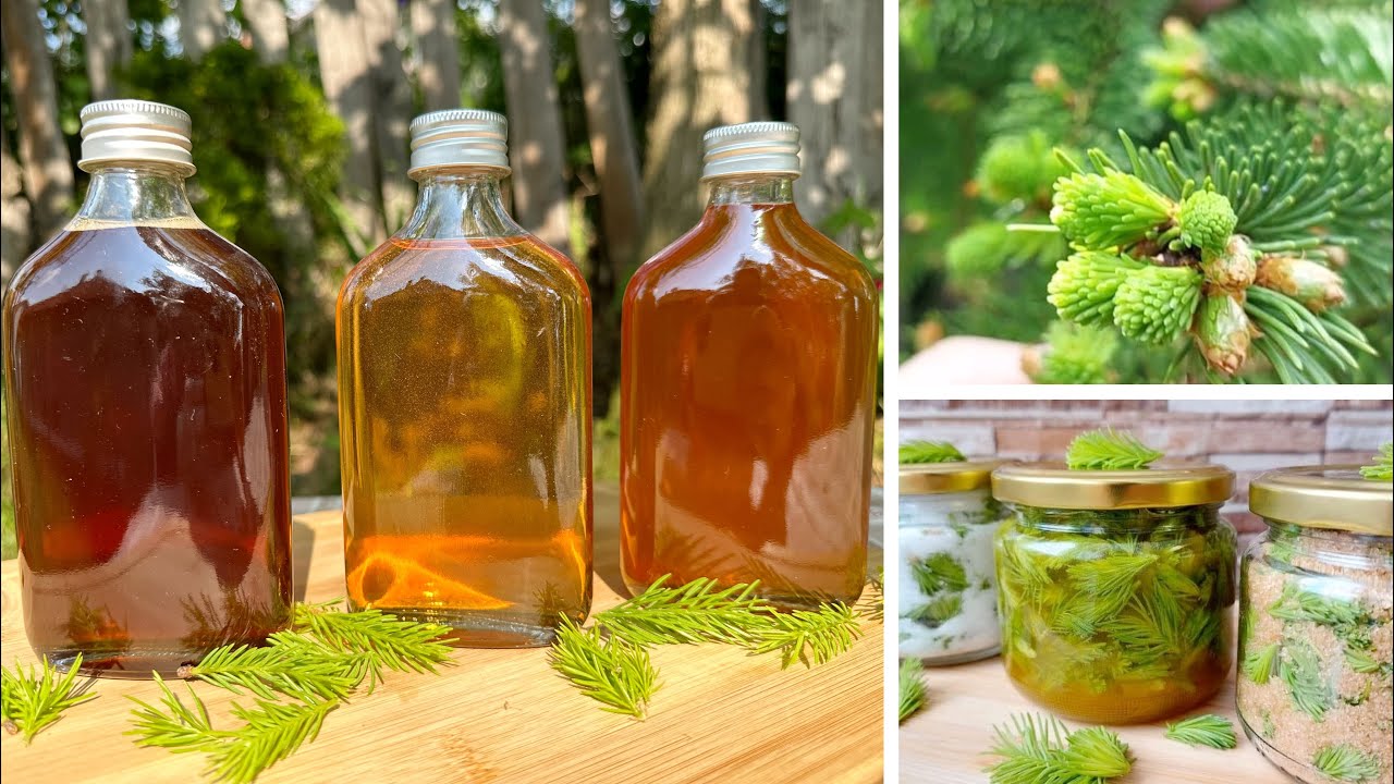 SIRUP/MED od BOROVIH IGLICA - liječi BRONHITIS, ASTMU, PLUĆA i KAŠALJ ...