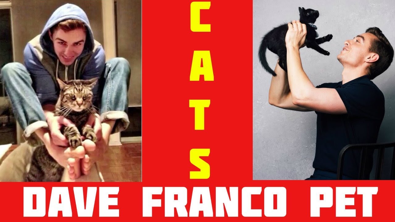Dave Franco Pet Cats 2018 || Dave Franco Pets - YouTube