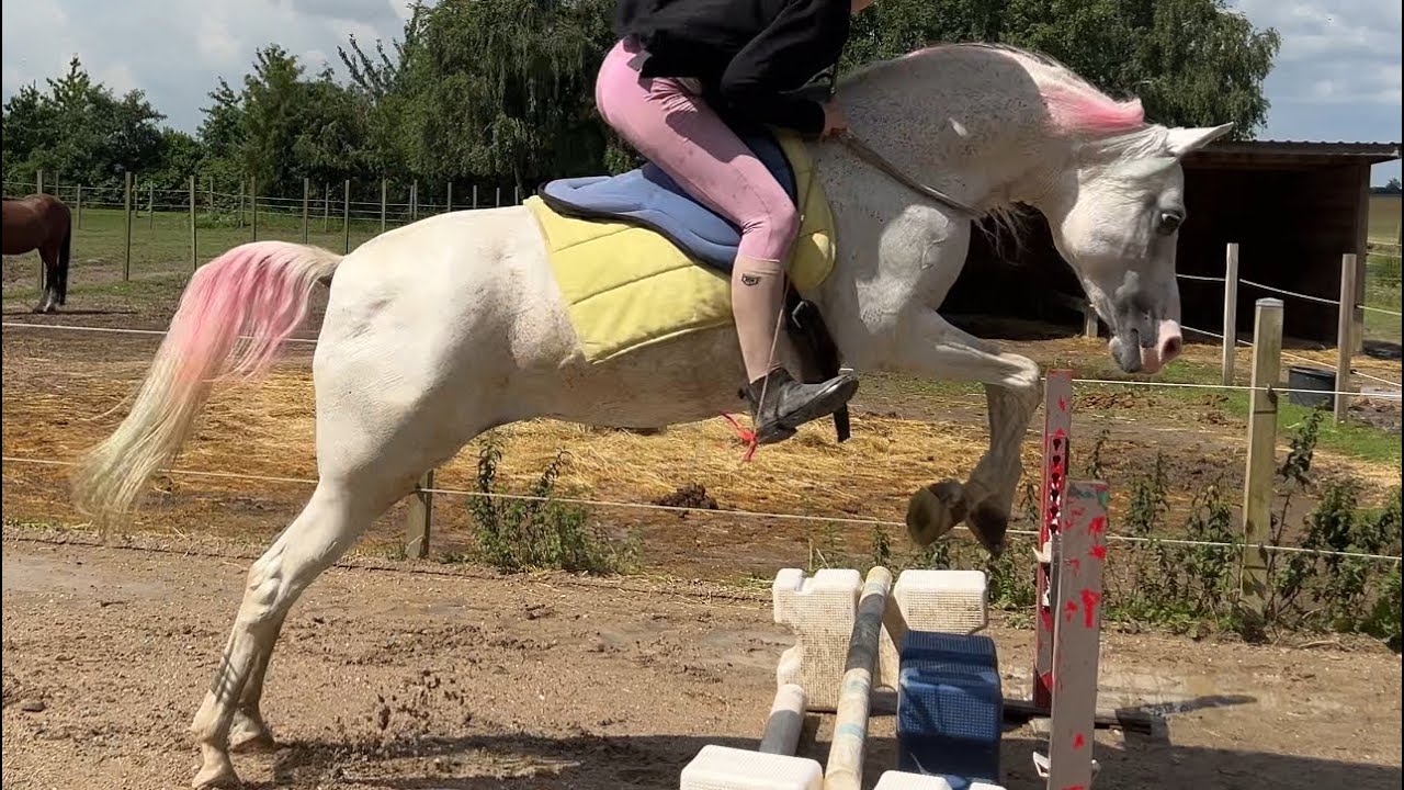 Fødselsdag, springer begge heste, regn mm🇩🇰🦄 - YouTube