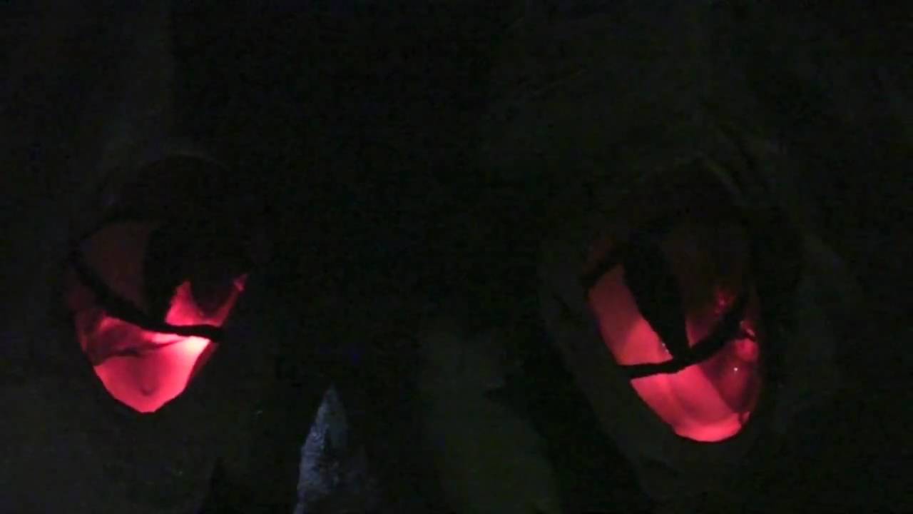 ***MY HEDORAH & EBIRAH COSTUMES*** - YouTube