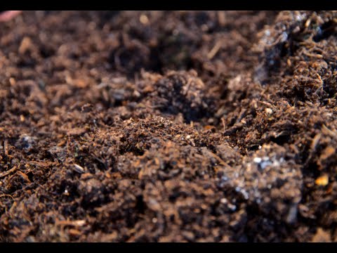 How to Make Mulch for Seeding Lawn - YouTube