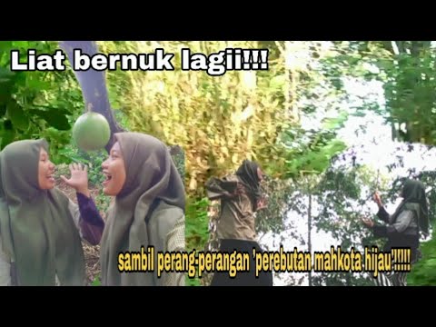 LIHAT BERNUK LAGII 🍏🌲 sambil main perang-perangan!!!🔥 - YouTube