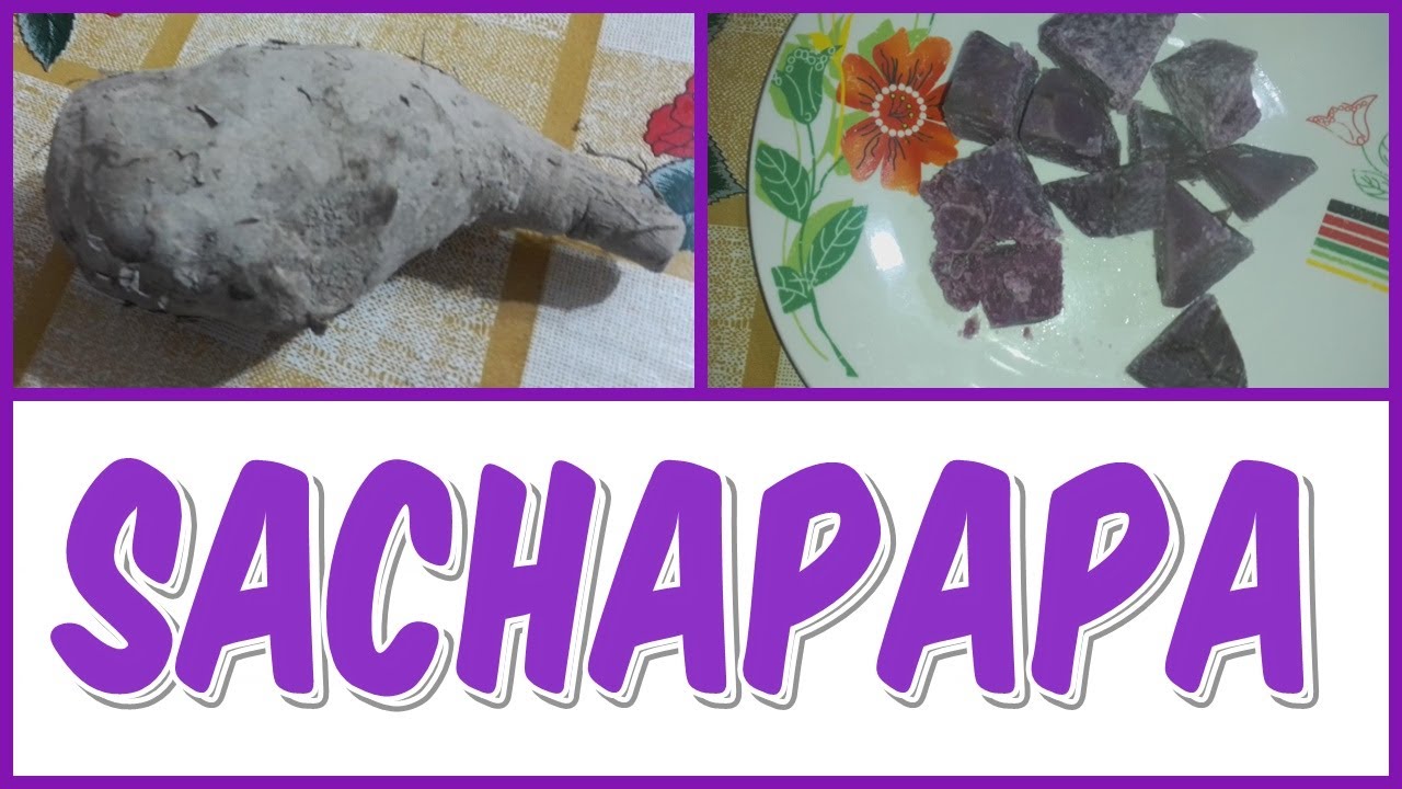 SACHAPAPA - SACHAPAPA MORADA - YouTube