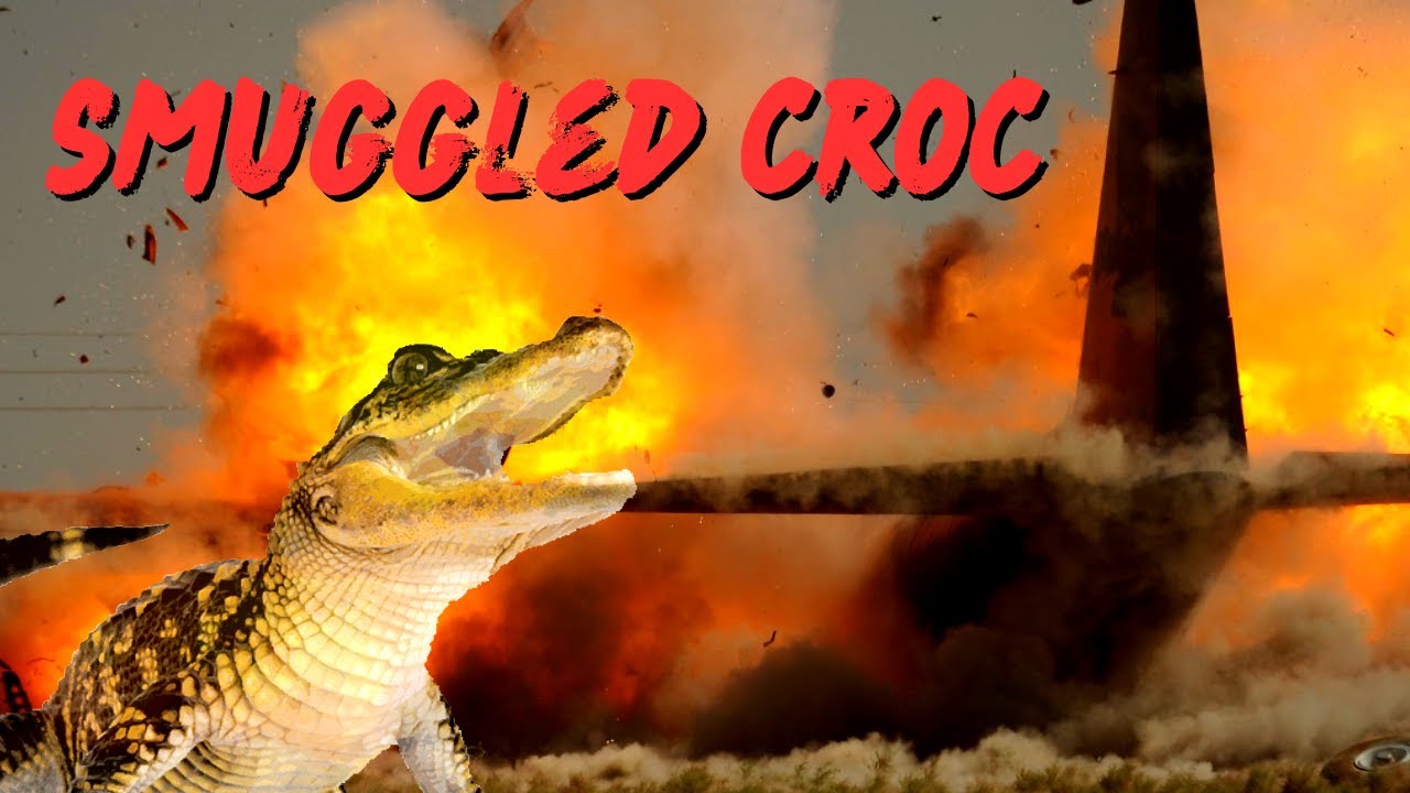 Most Bizarre Airplane Crash | Crocodile On Board - YouTube
